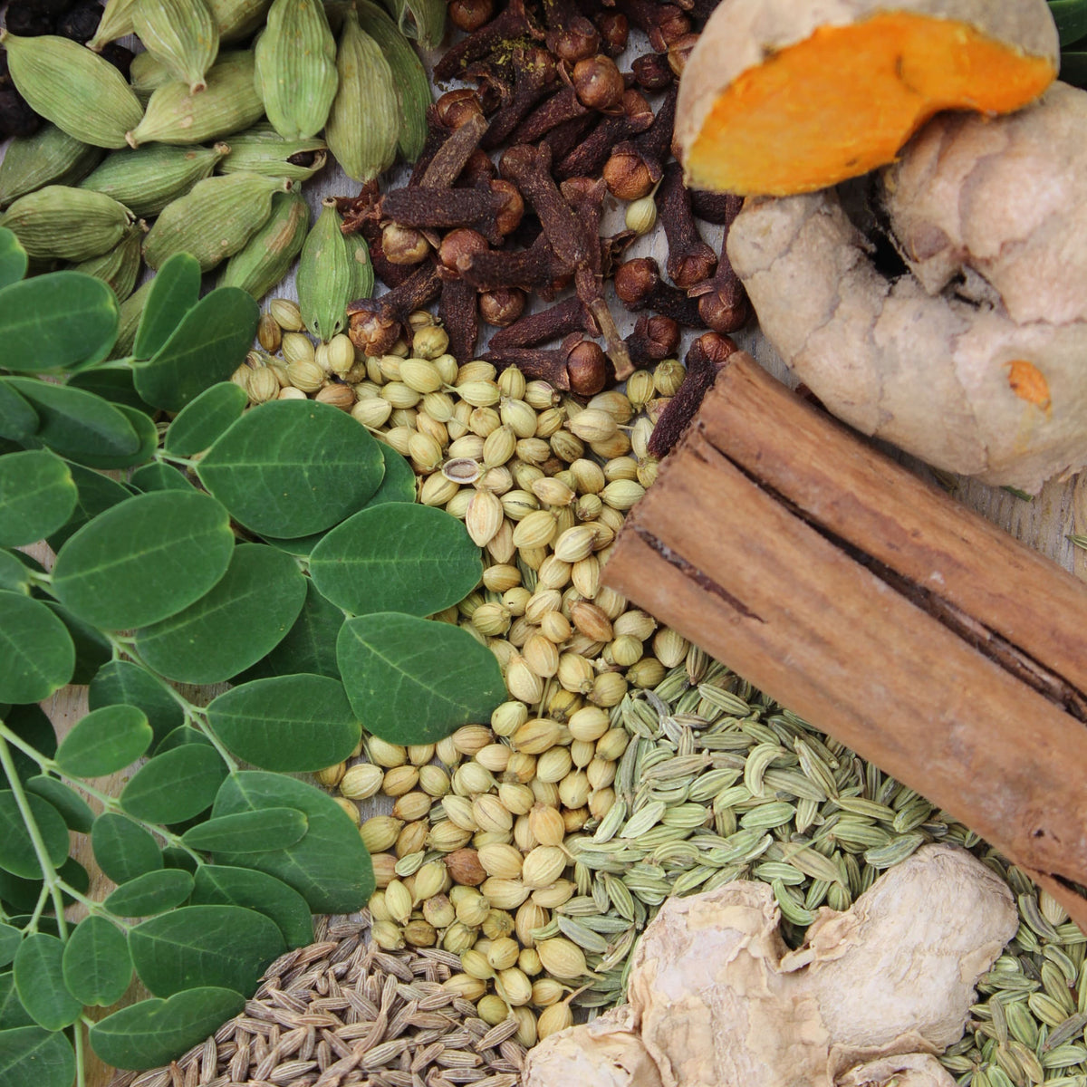 Buy Organic Moringa Powder Online | Pure and Natural – Satmya